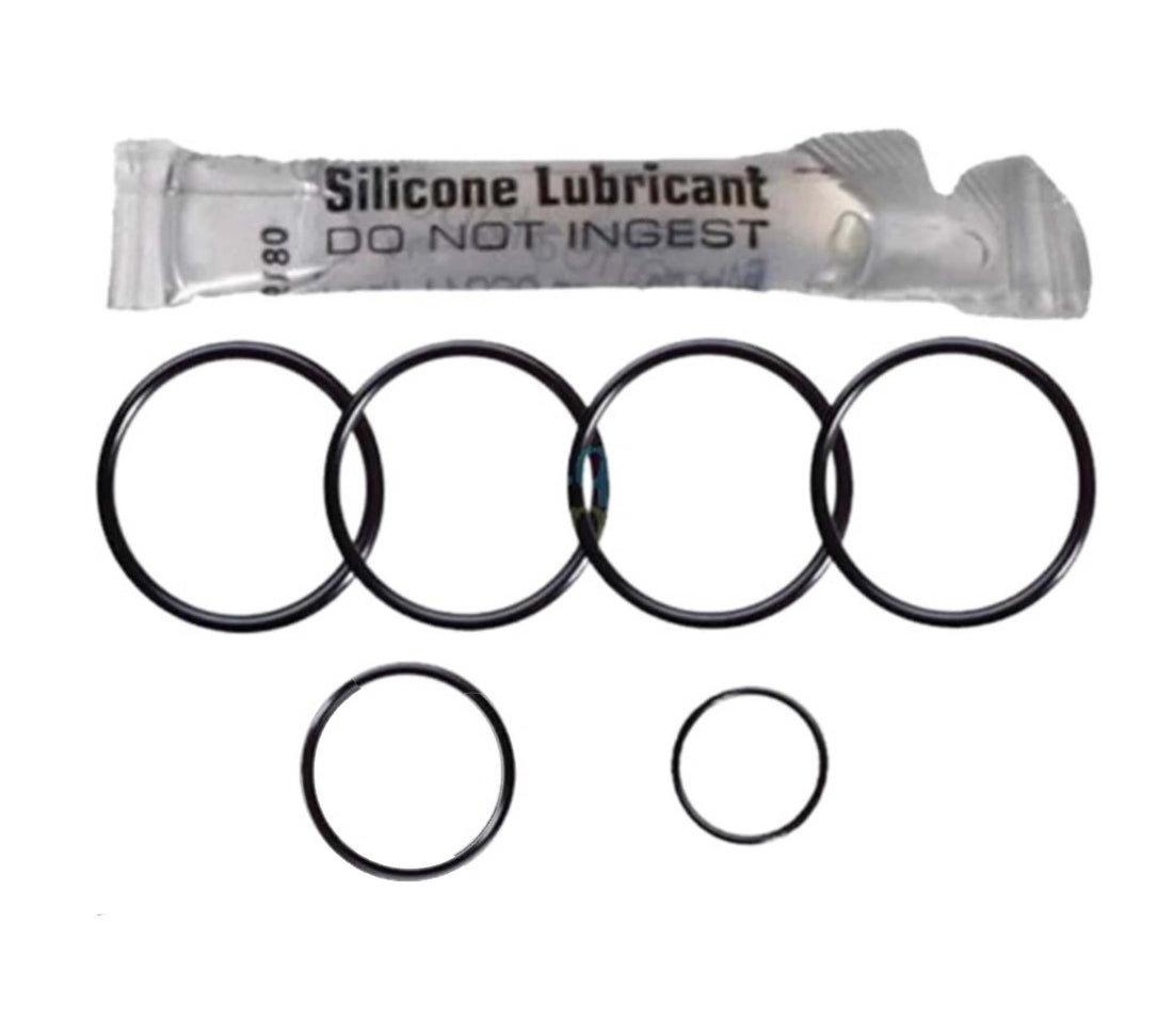 Autotrol Tank Adaptor O-Ring Kit (1001404) | Reverse Osmosis Superstore