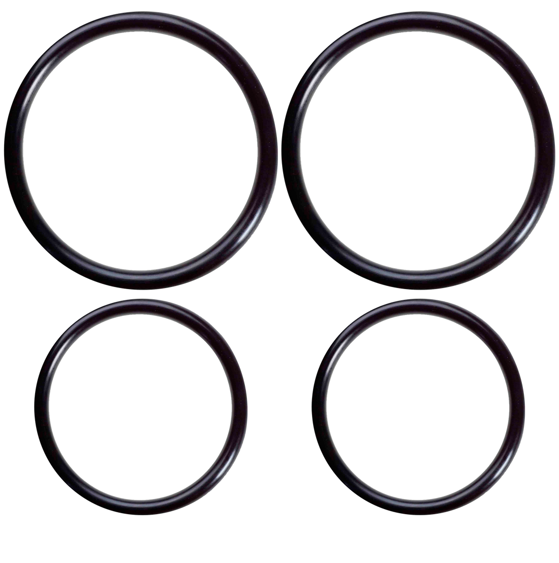 Stainless Steel Membrane Housing O Rings